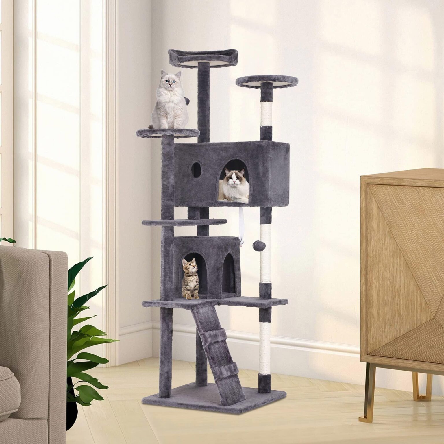 How to Build a Cat Playhouse on a Budget - Meowble – Purrrfect Comfort ...